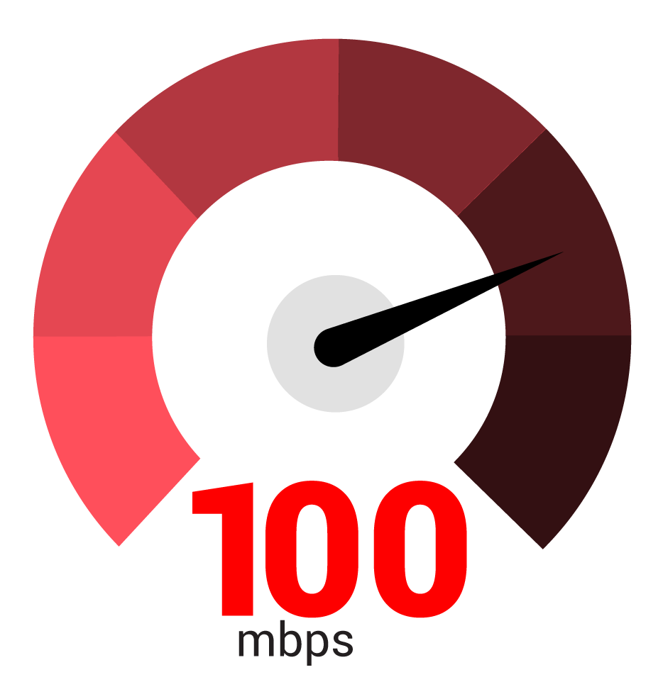 ACE IT Networks Limited